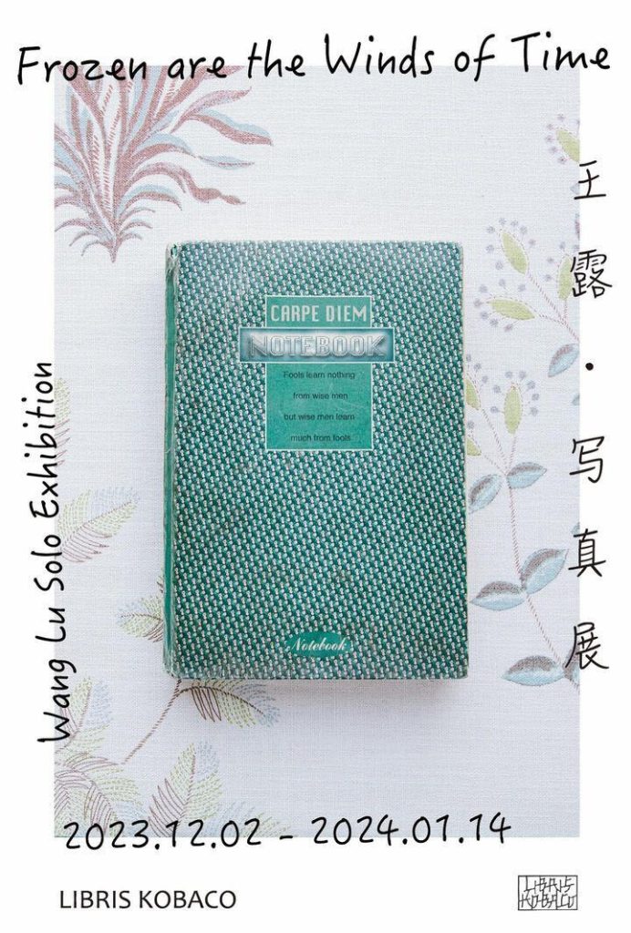 LIBRIS KOBACO(福岡)にて王露個展「Frozen are the winds of time」開催 | ふげん社｜FUGENSHA